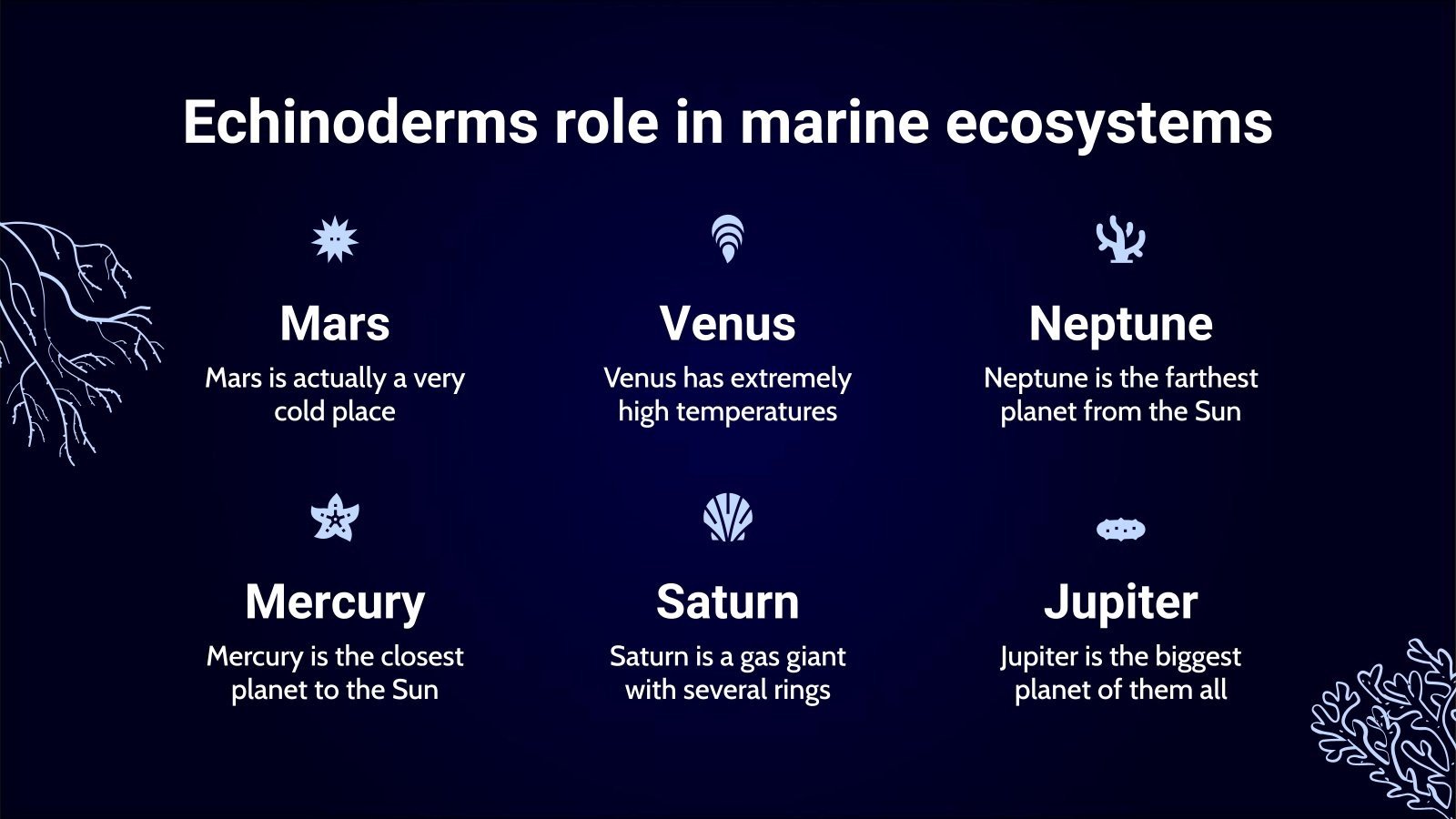 The Wonders of the Seas: Echinoderms Presentation