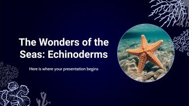 Free Google Slides themes & PowerPoint templates about the Sea