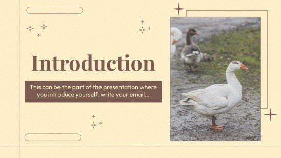All About Ducks Presentation