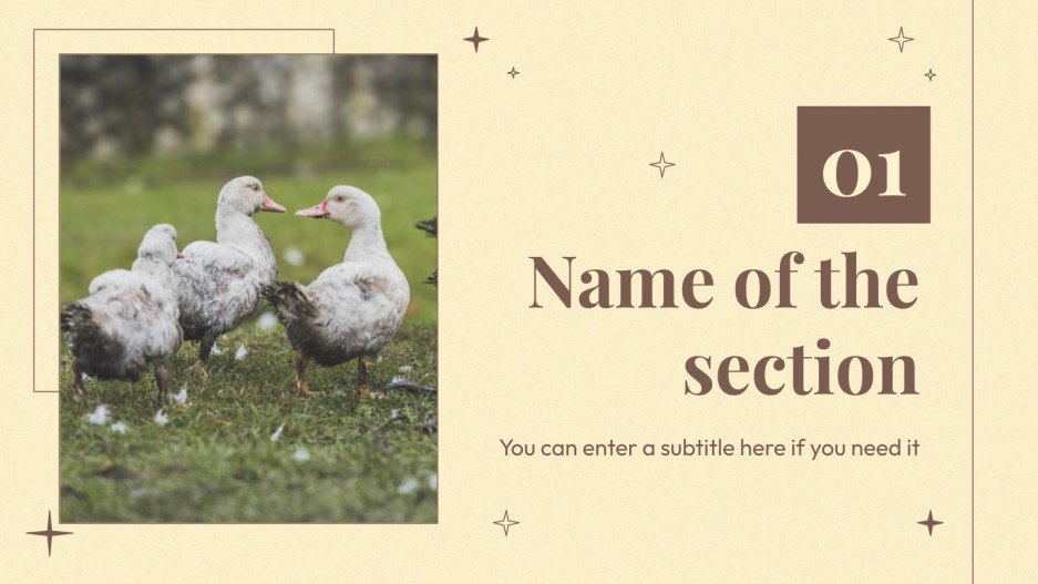 All About Ducks Presentation