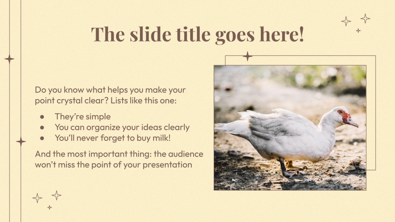 All About Ducks Presentation