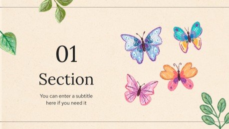 Butterflies Lesson Presentation