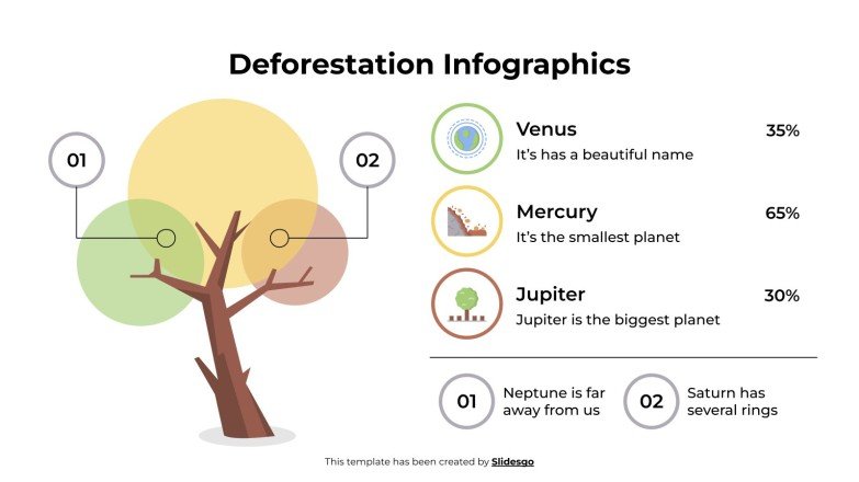 Deforestation Infographics Presentation
