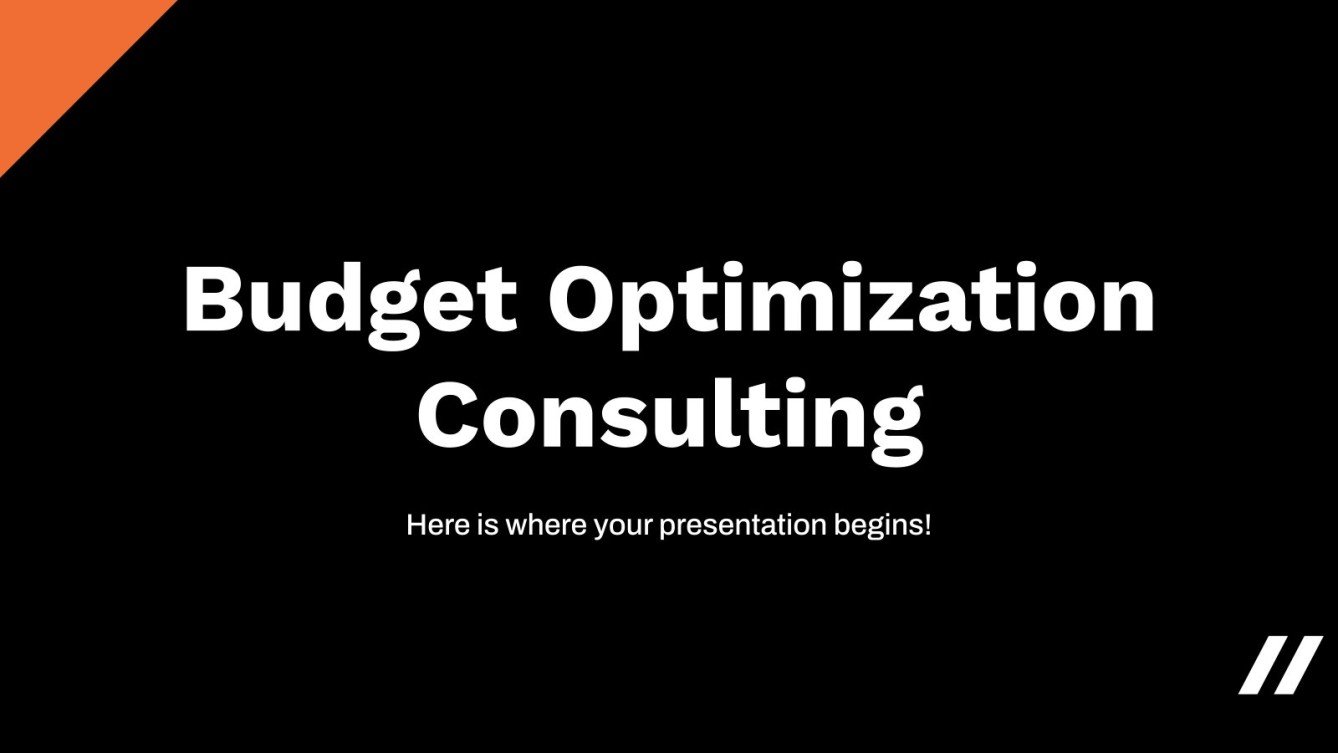 Budget Optimization Consulting Presentation