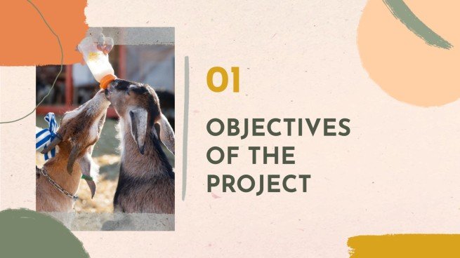 Farm Animal Welfare Improvement Project Proposal Presentation