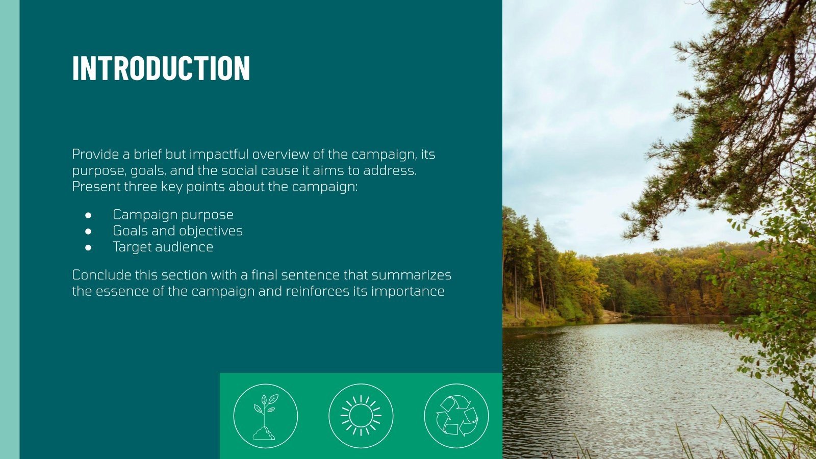 Temperate Forest Conservation Campaign Presentation