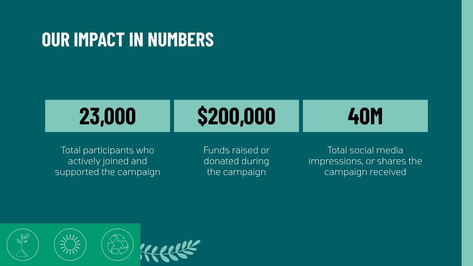 Temperate Forest Conservation Campaign Presentation
