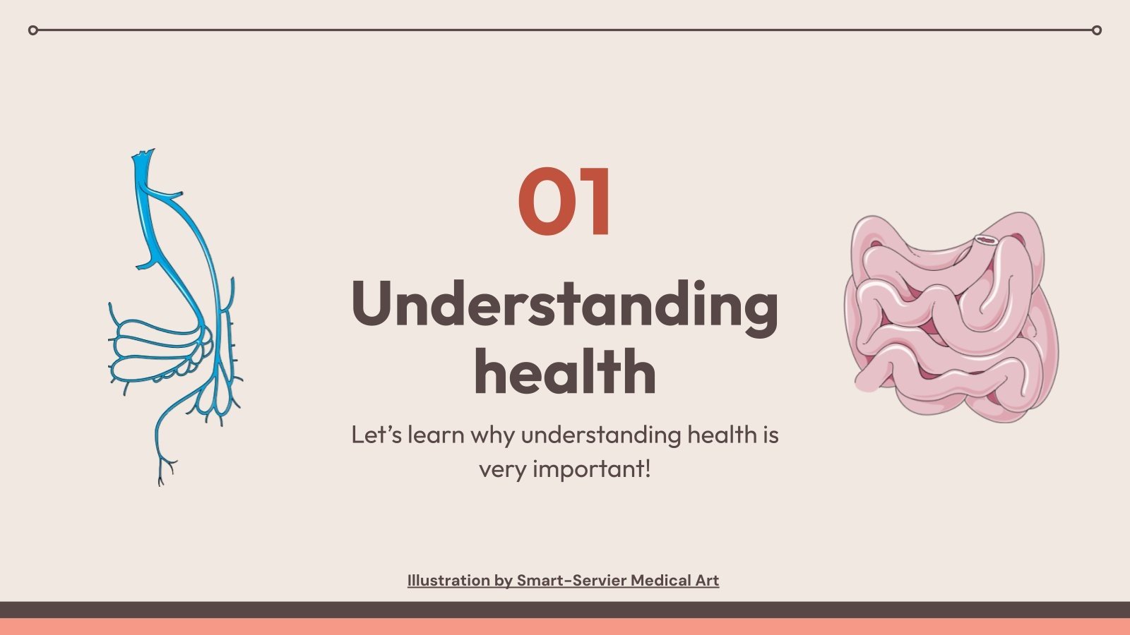 Anatomy & Physiology Lesson for high School Presentation