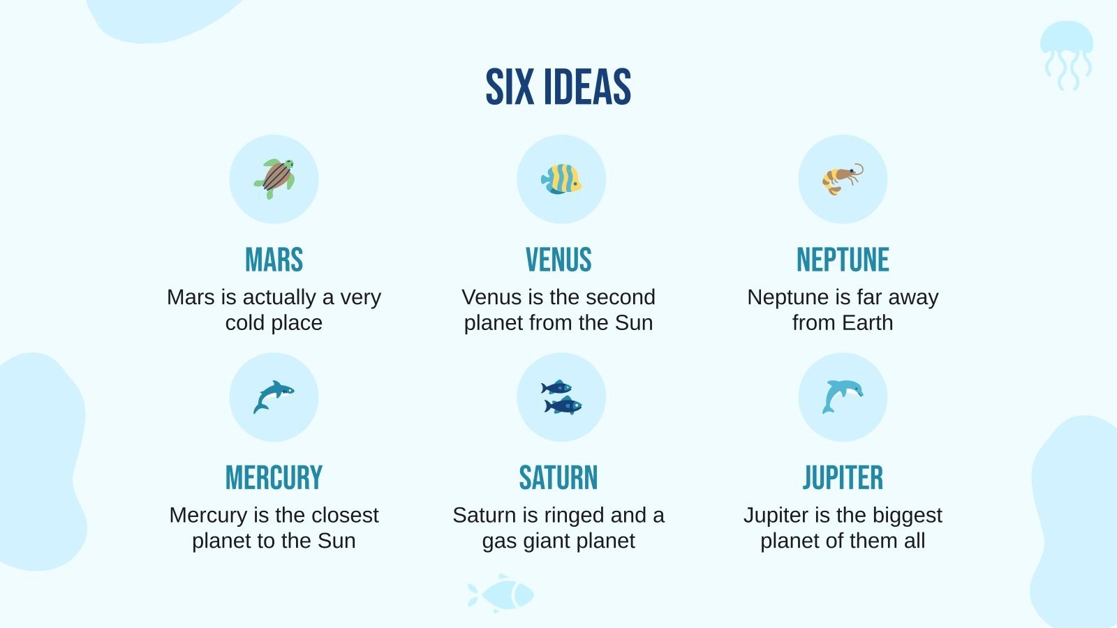 All About Dolphins Presentation