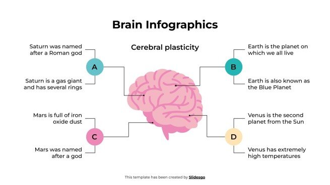 Brain Infographics Template
