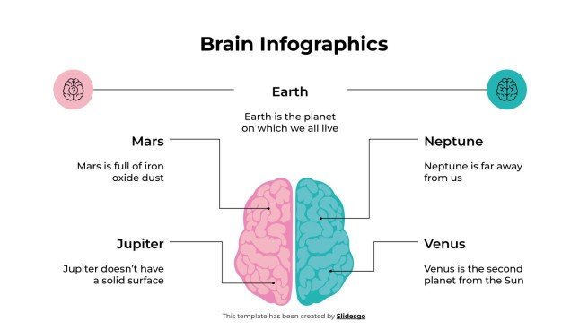 Brain Infographics Template