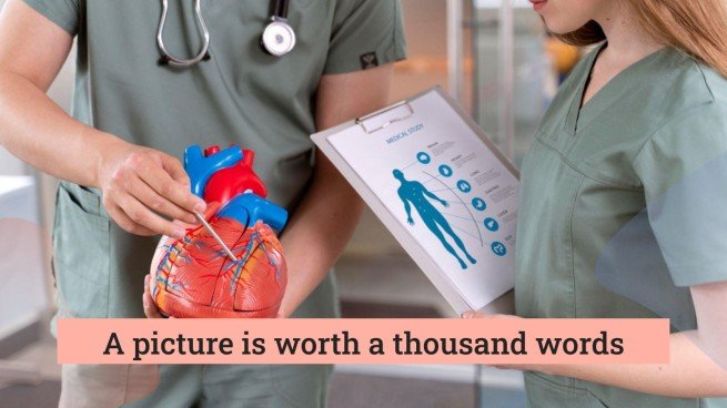 Science Subject for Middle School: Heart Anatomy Presentation