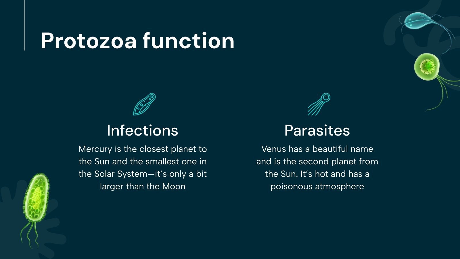 Science Subject for High School: Protozoa Presentation