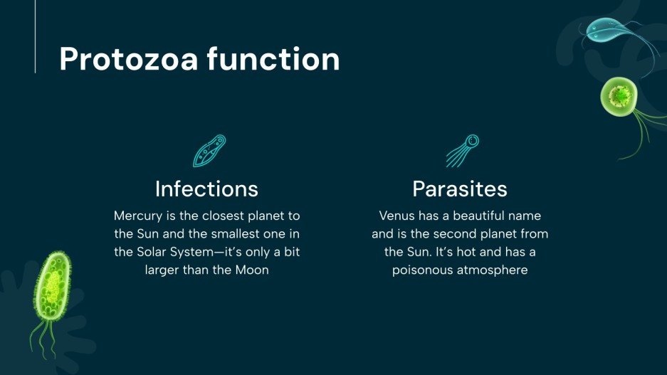 Science Subject for High School: Protozoa Presentation