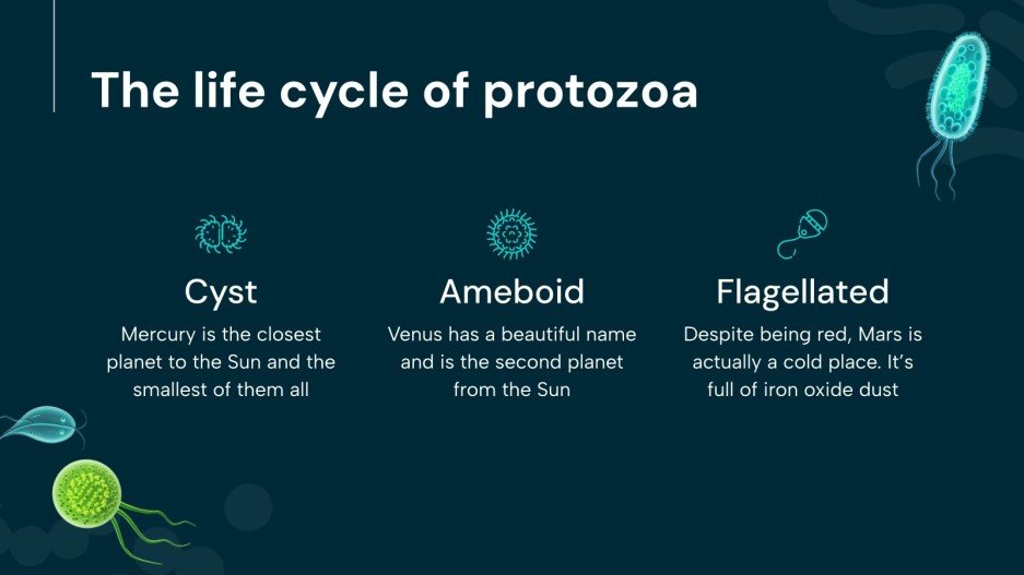 Science Subject for High School: Protozoa Presentation