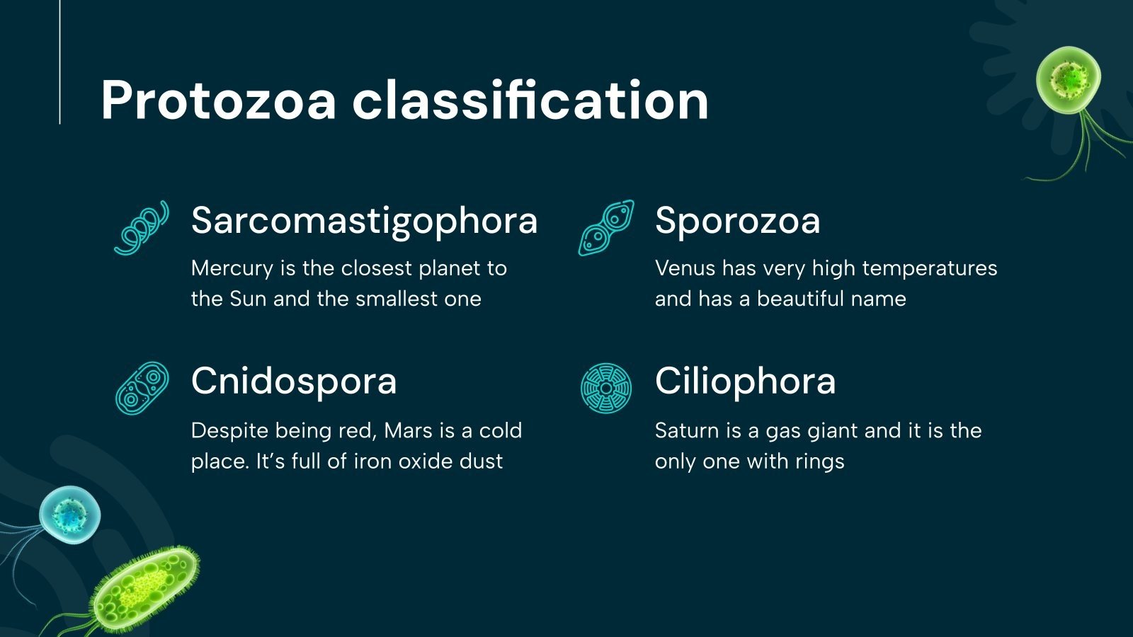 Science Subject for High School: Protozoa Presentation