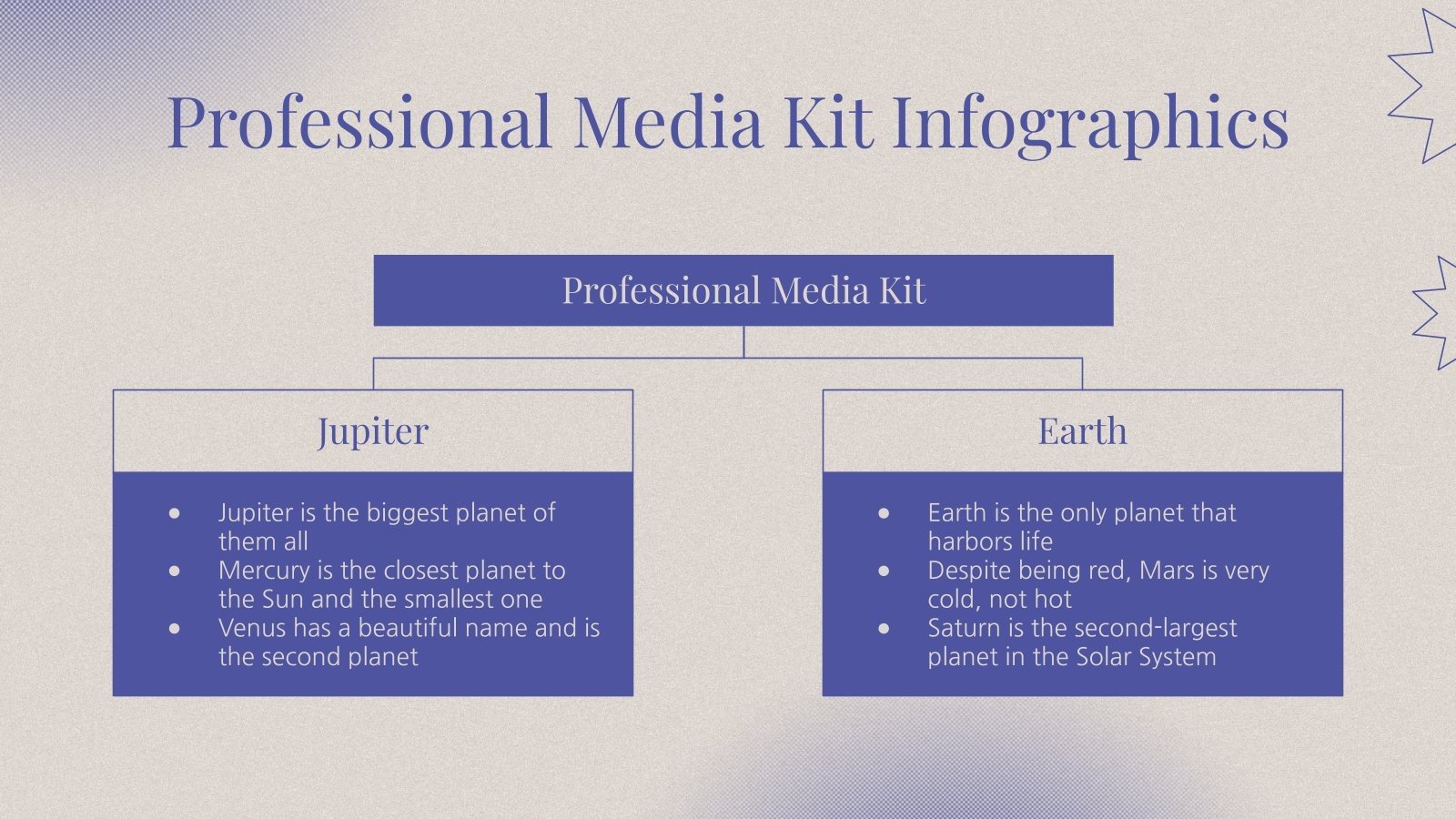 Professional Media Kit Infographics Presentation