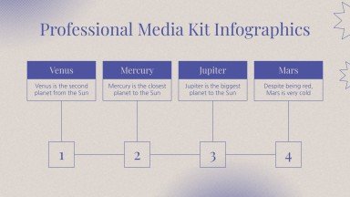 Professional Media Kit Infographics Presentation