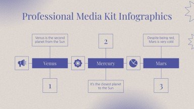Professional Media Kit Infographics Presentation