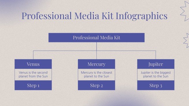 Professional Media Kit Infographics Presentation