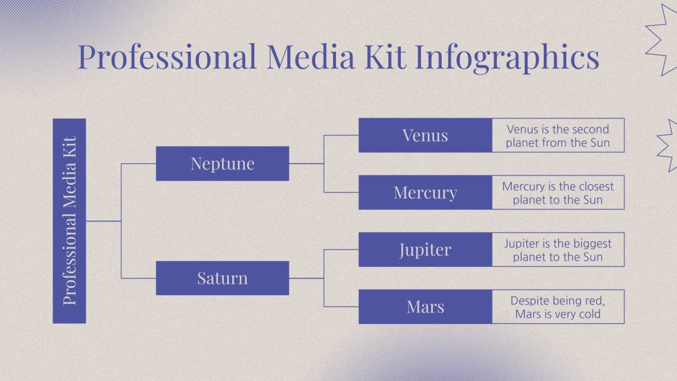 Professional Media Kit Infographics Presentation