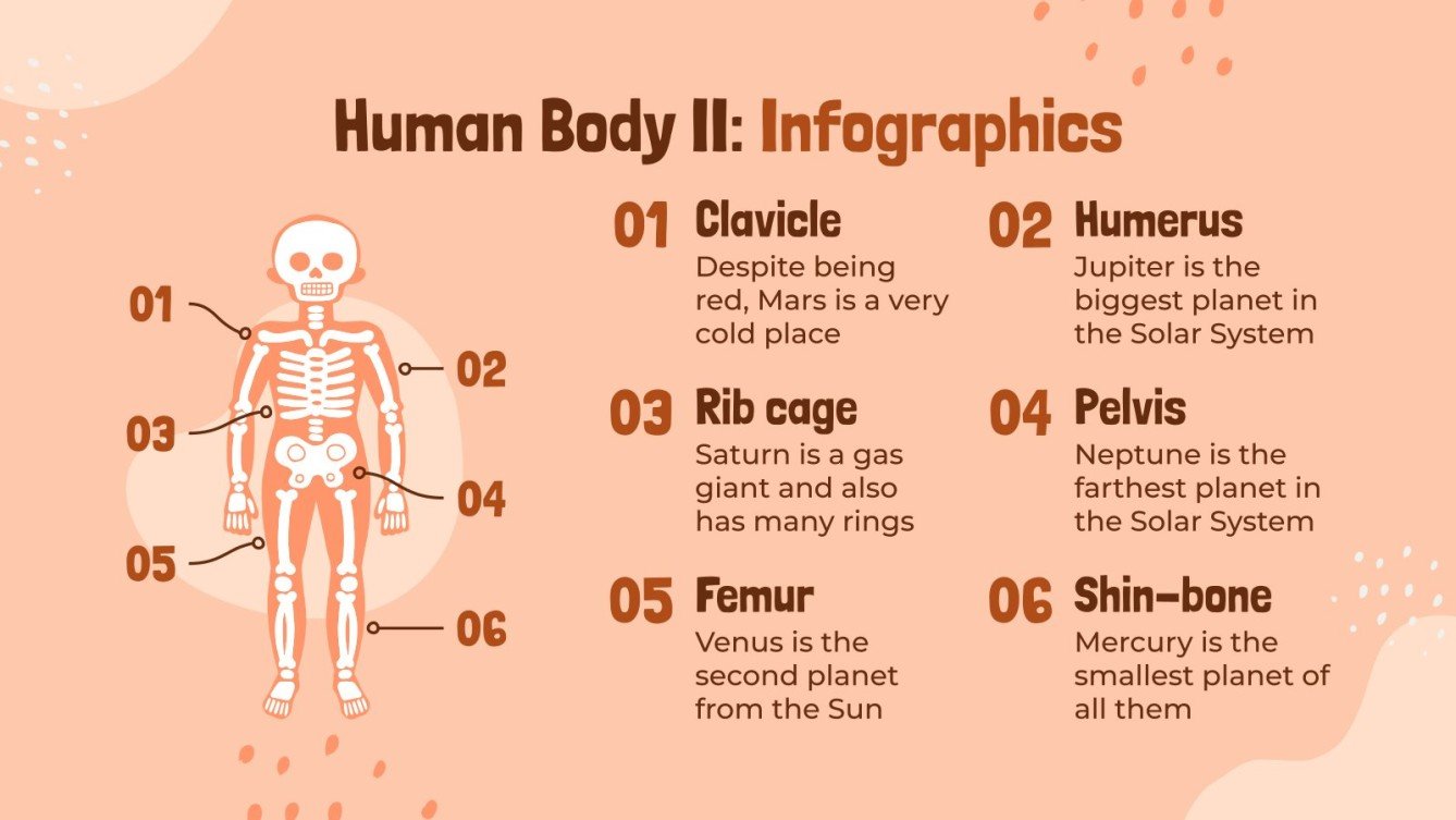 Science for High School: Human Body II Infographics