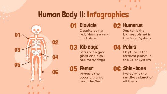 Science for High School: Human Body II Infographics