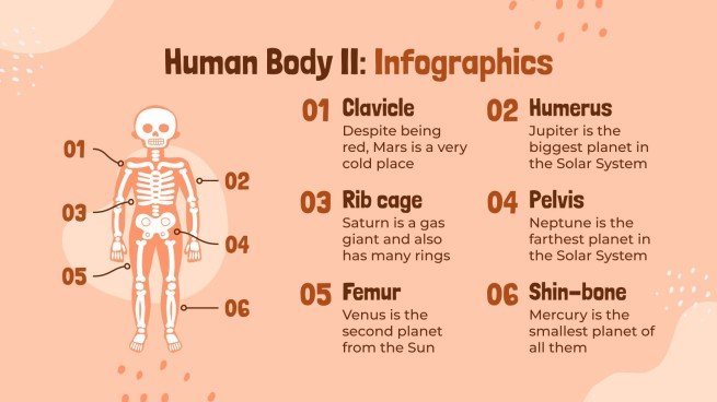Science for High School: Human Body II Infographics