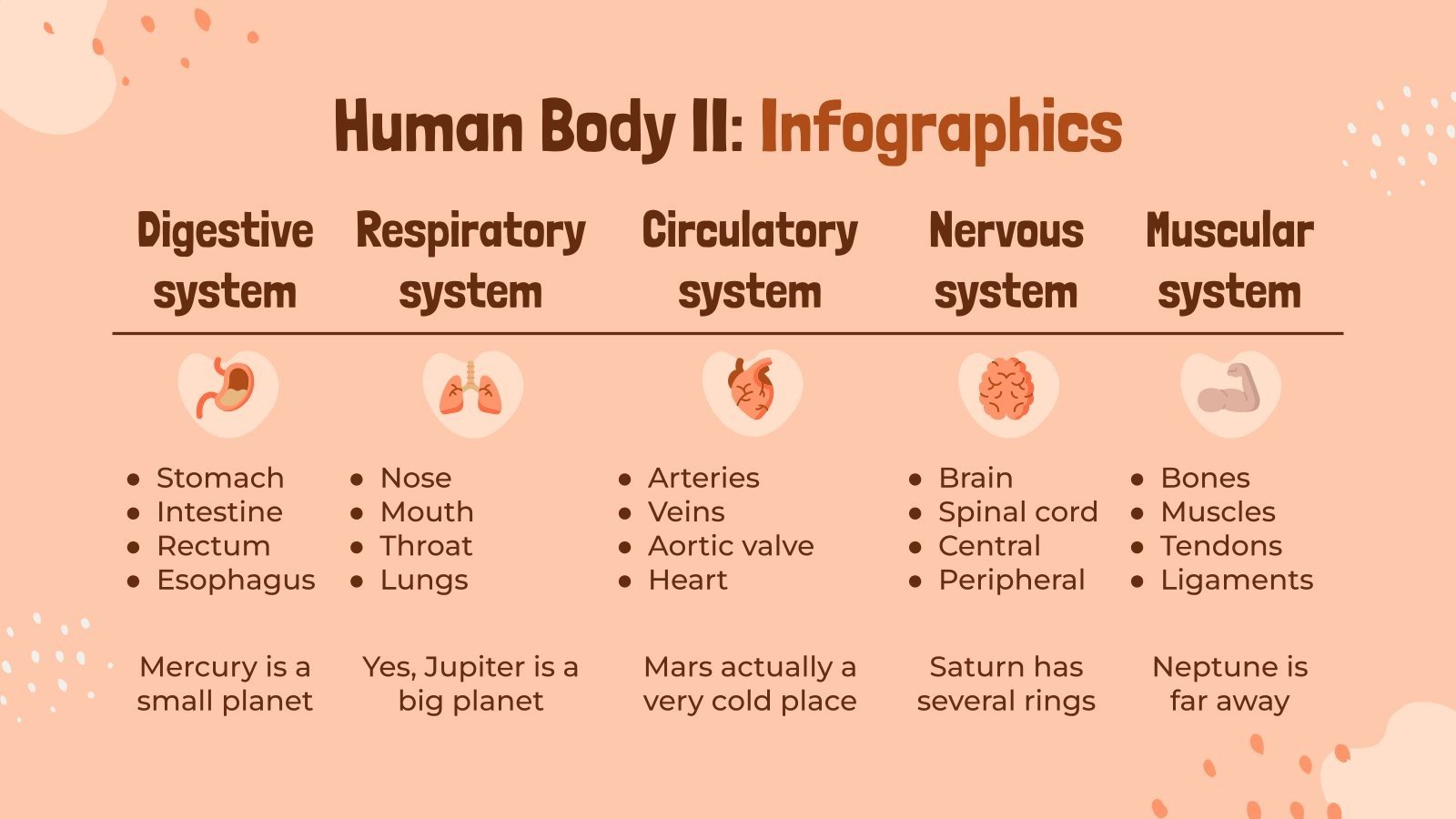 Science for High School: Human Body II Infographics