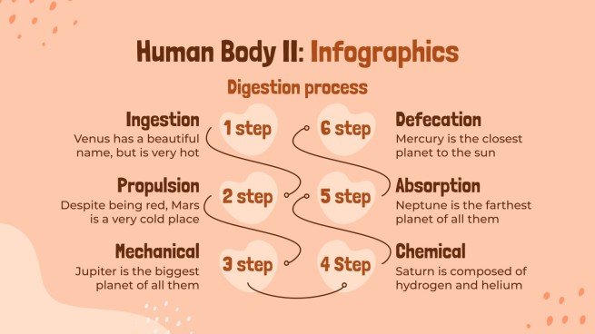 Science for High School: Human Body II Infographics