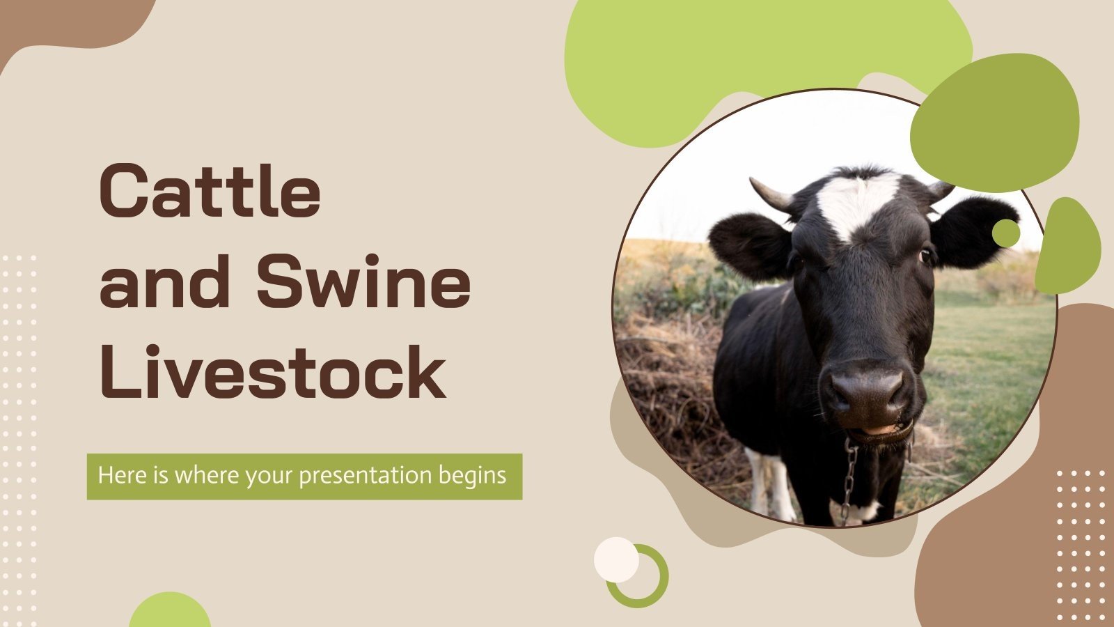 Plantillas gratis sobre vacas para Google Slides y PowerPoint