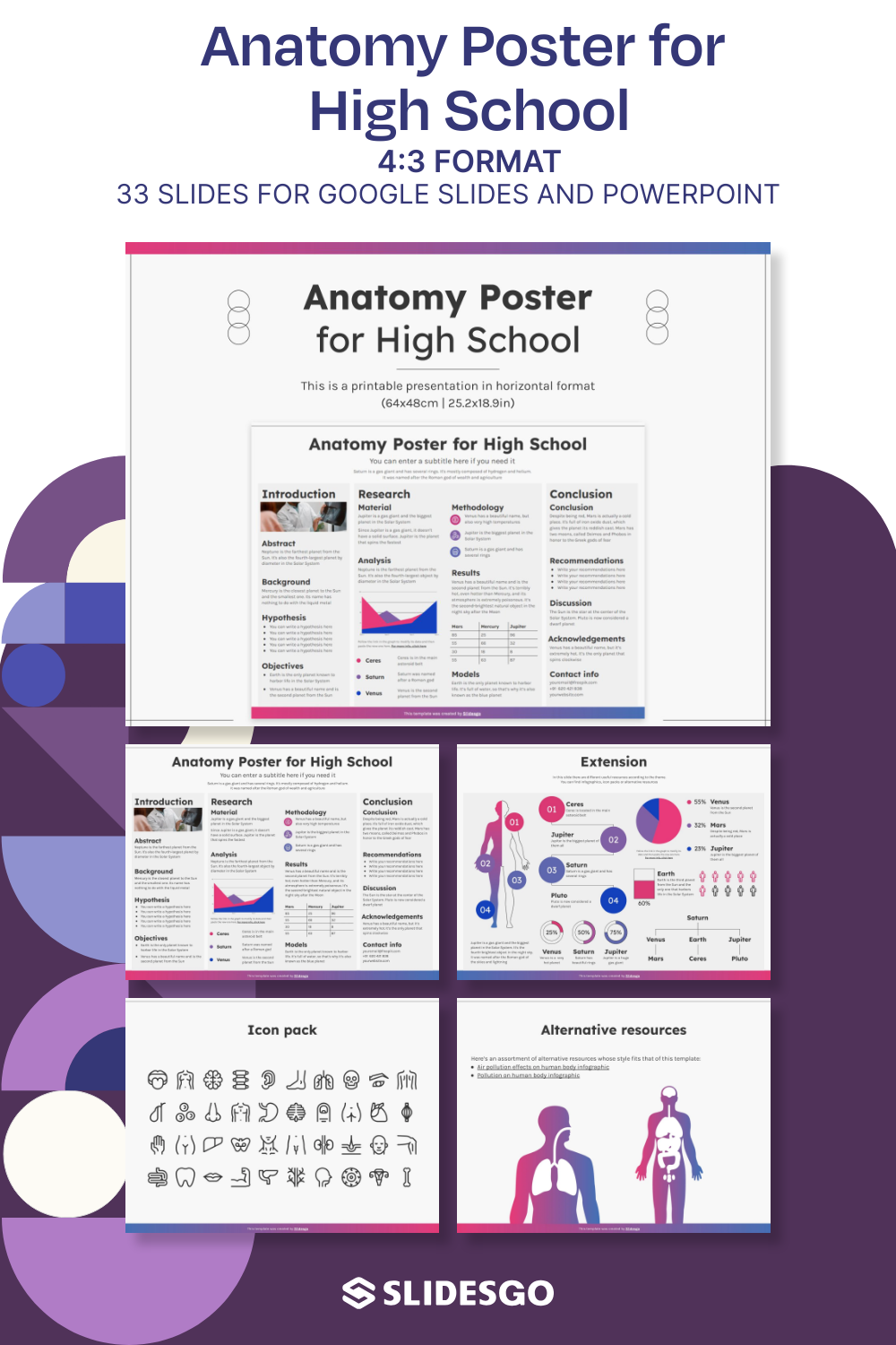 Anatomy Poster for High School Presentation