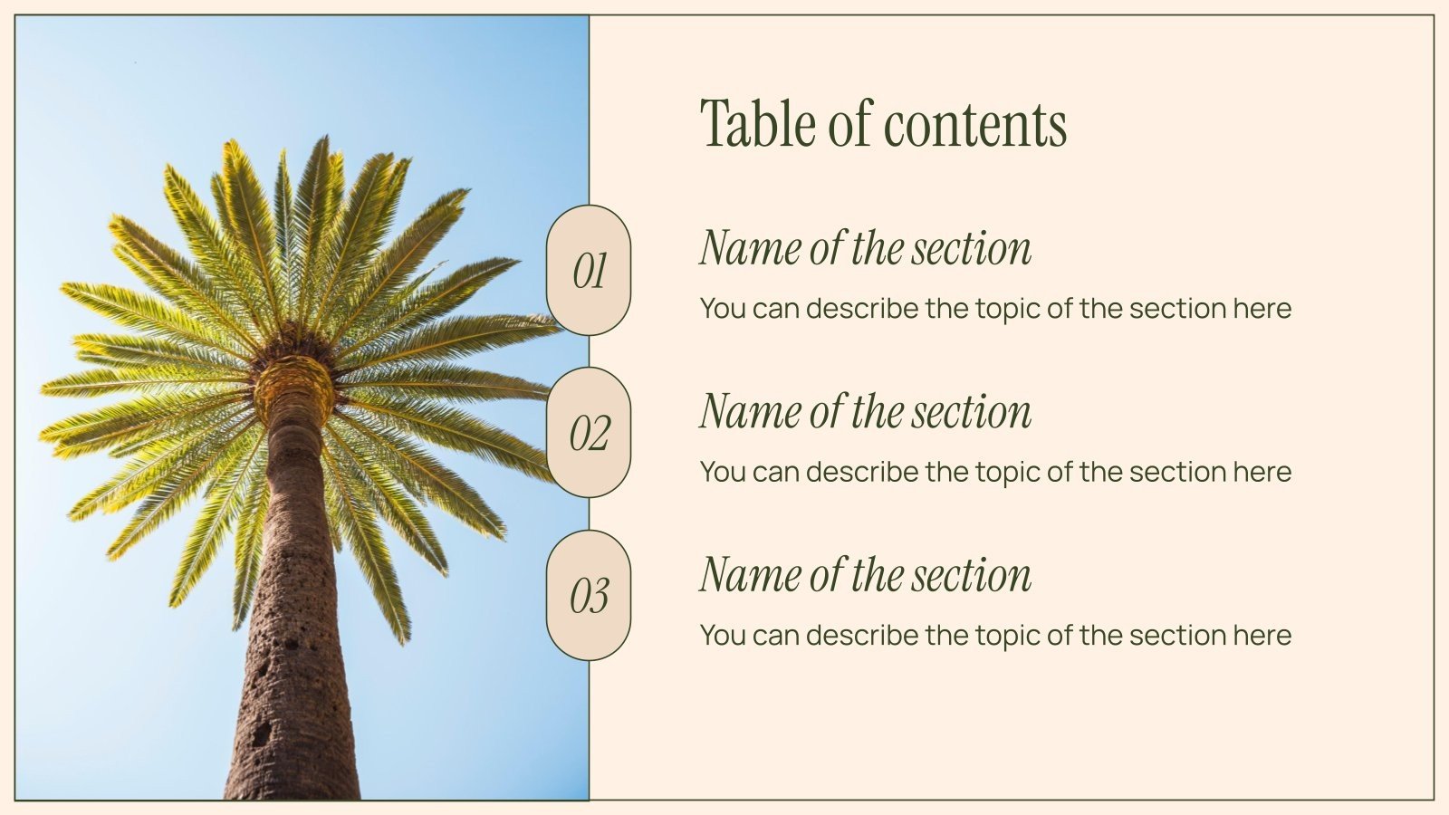 All About Dates Fruit Presentation