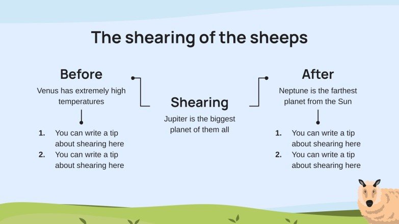 Sheep Presentation