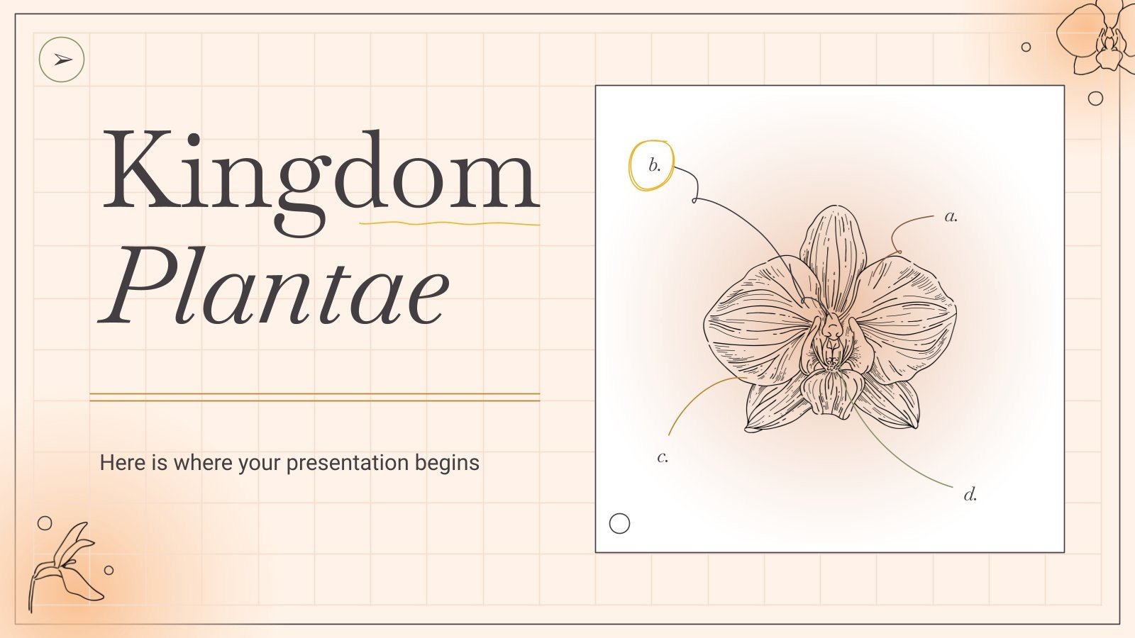 Kingdom Plantae Presentation