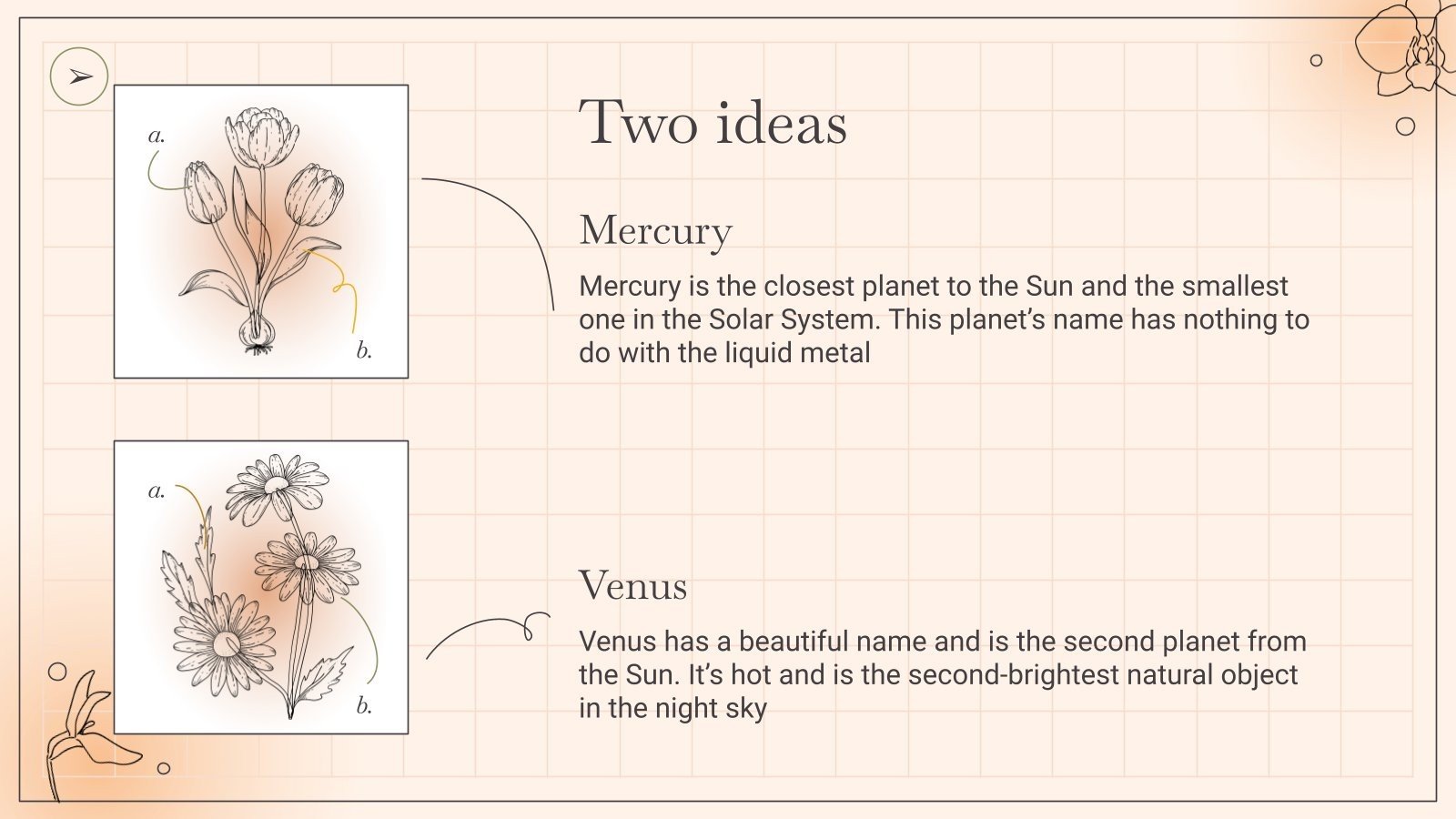 Kingdom Plantae Presentation