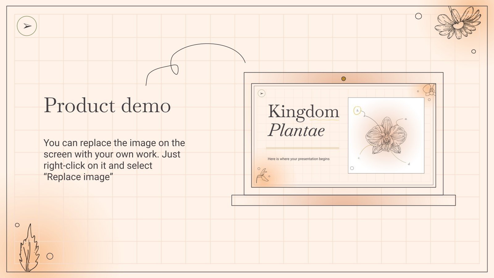 Kingdom Plantae Presentation