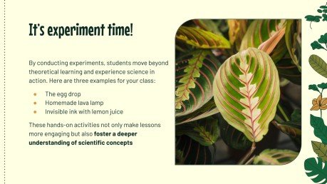 Biology Lesson for Middle School: Kingdom Plantae