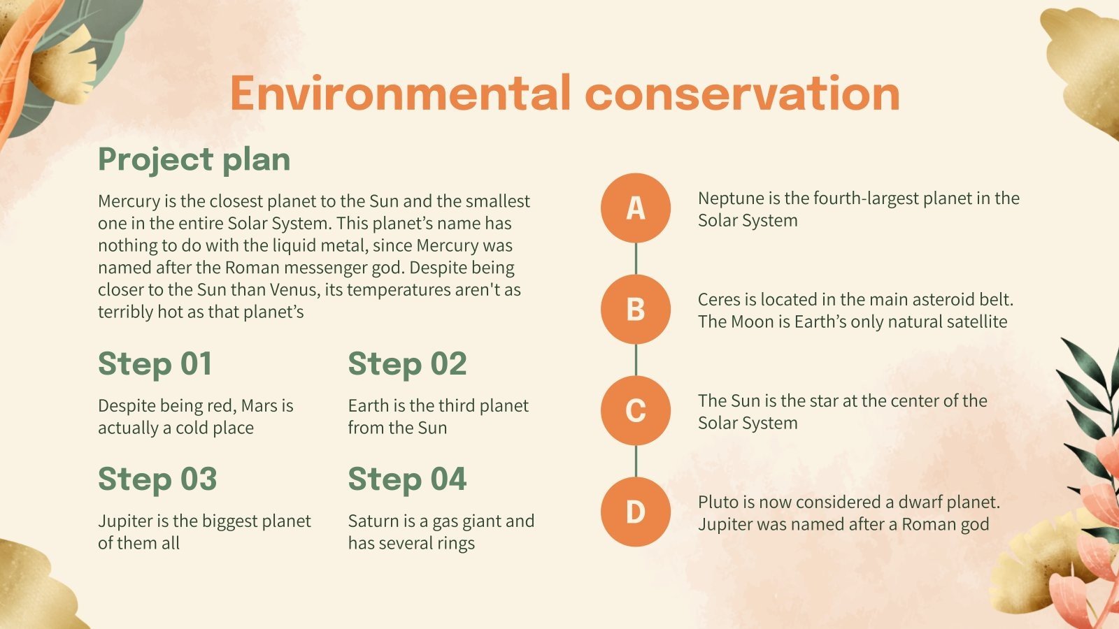 Infografía: propuesta de proyecto de conservación ambiental