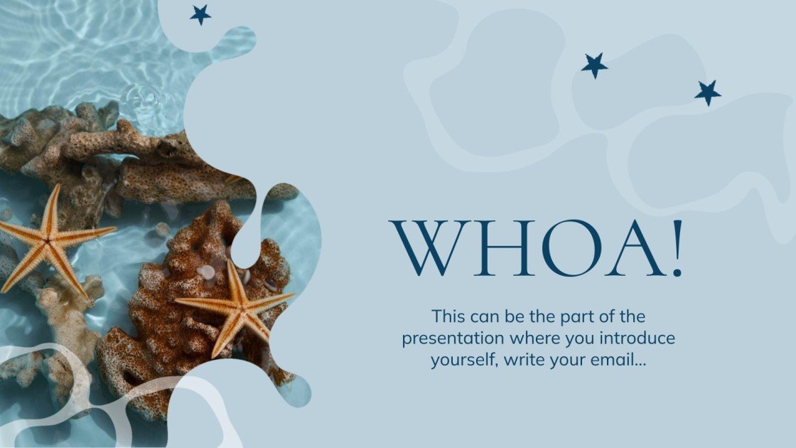 Echinoderms Presentation