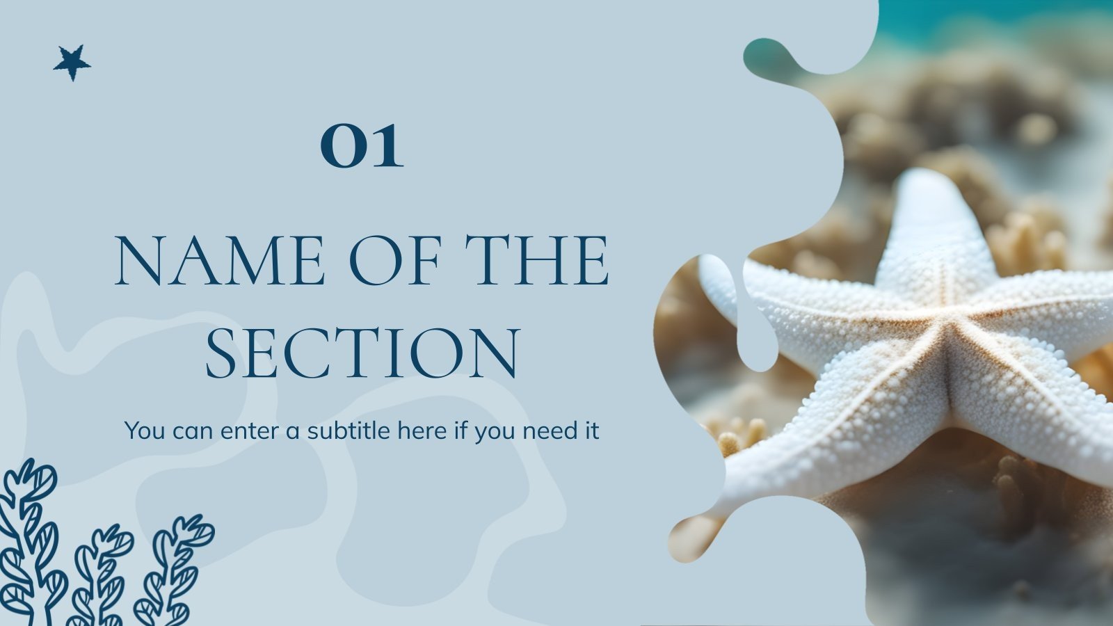 Echinoderms Presentation