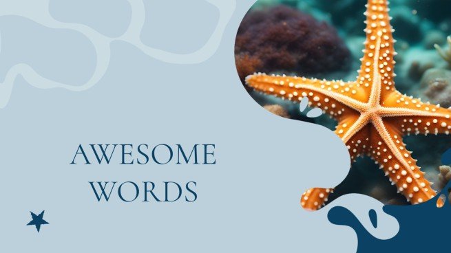 Echinoderms Presentation