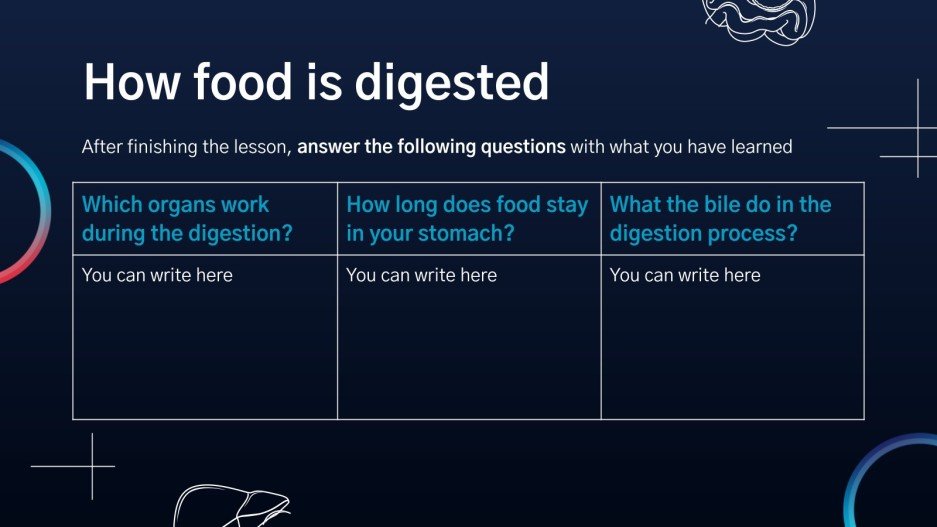 All About Digestion Lesson for Middle School Presentation
