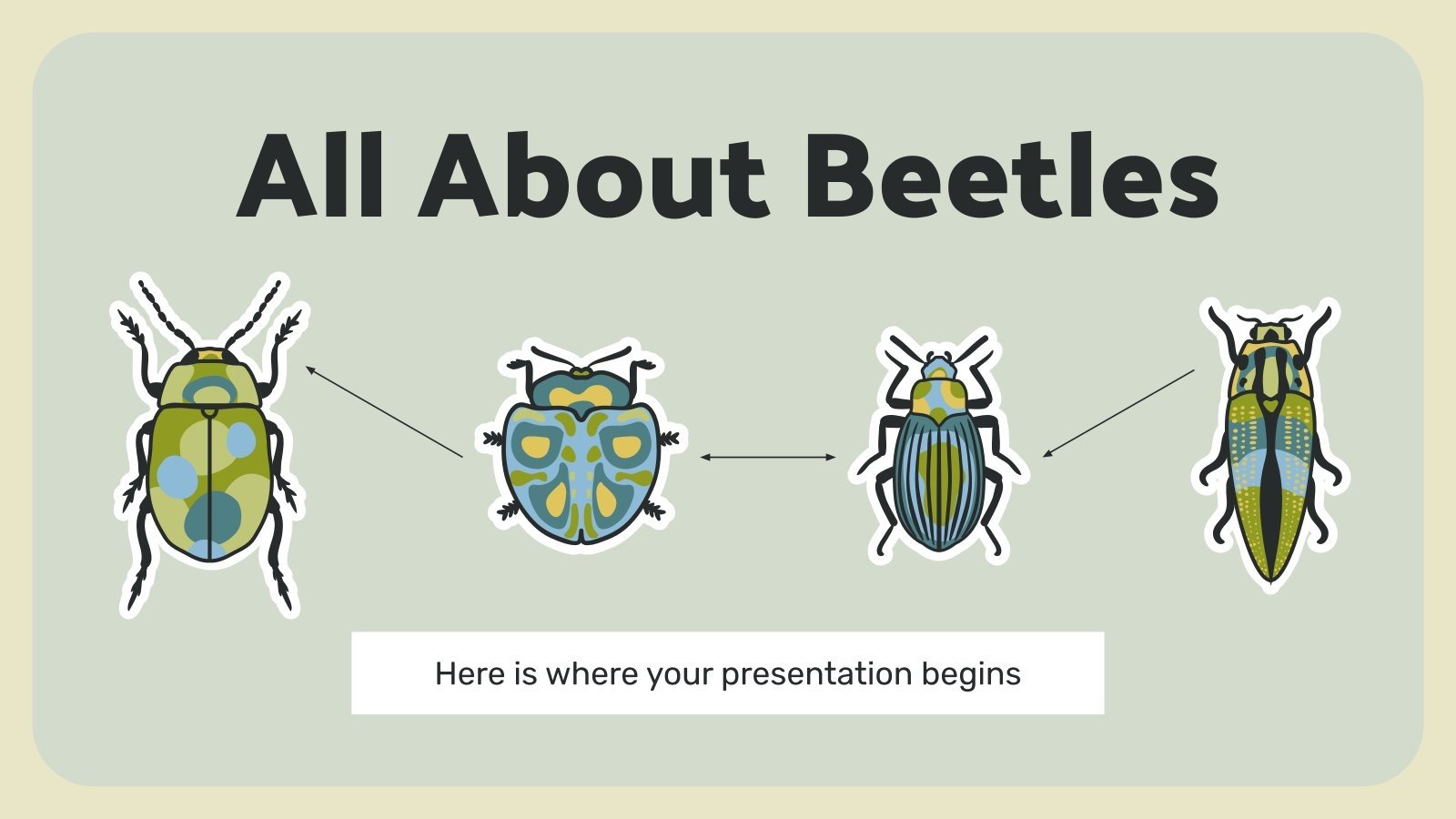 All About Beetles Presentation