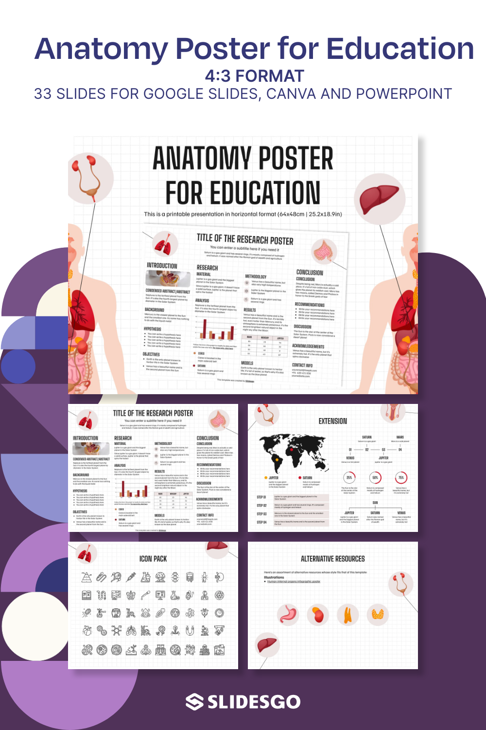 Anatomy Poster for Education Presentation