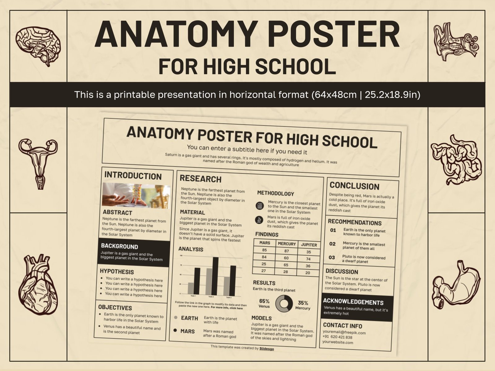 Anatomy Poster for High School Presentation