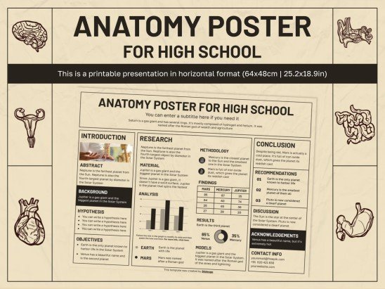 Anatomy Poster for High School Presentation