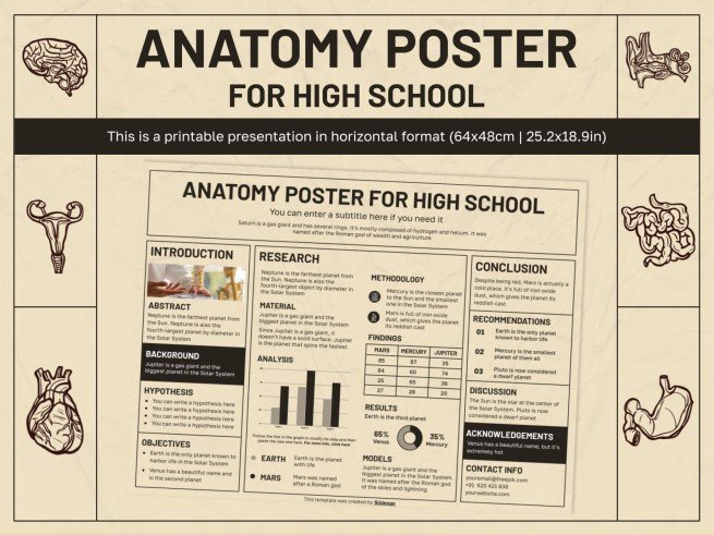 Free Anatomy Poster Google Slides and PPT Templates