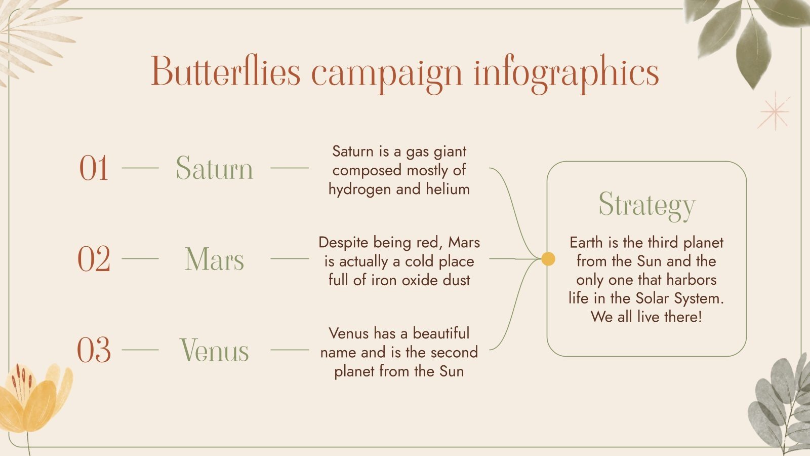 Butterflies Campaign Infographics Presentation