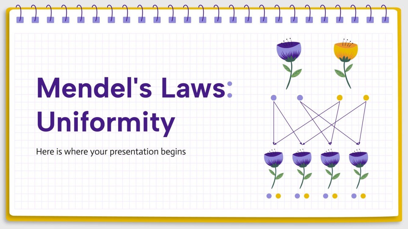 Mendel's Laws: Uniformity Presentation